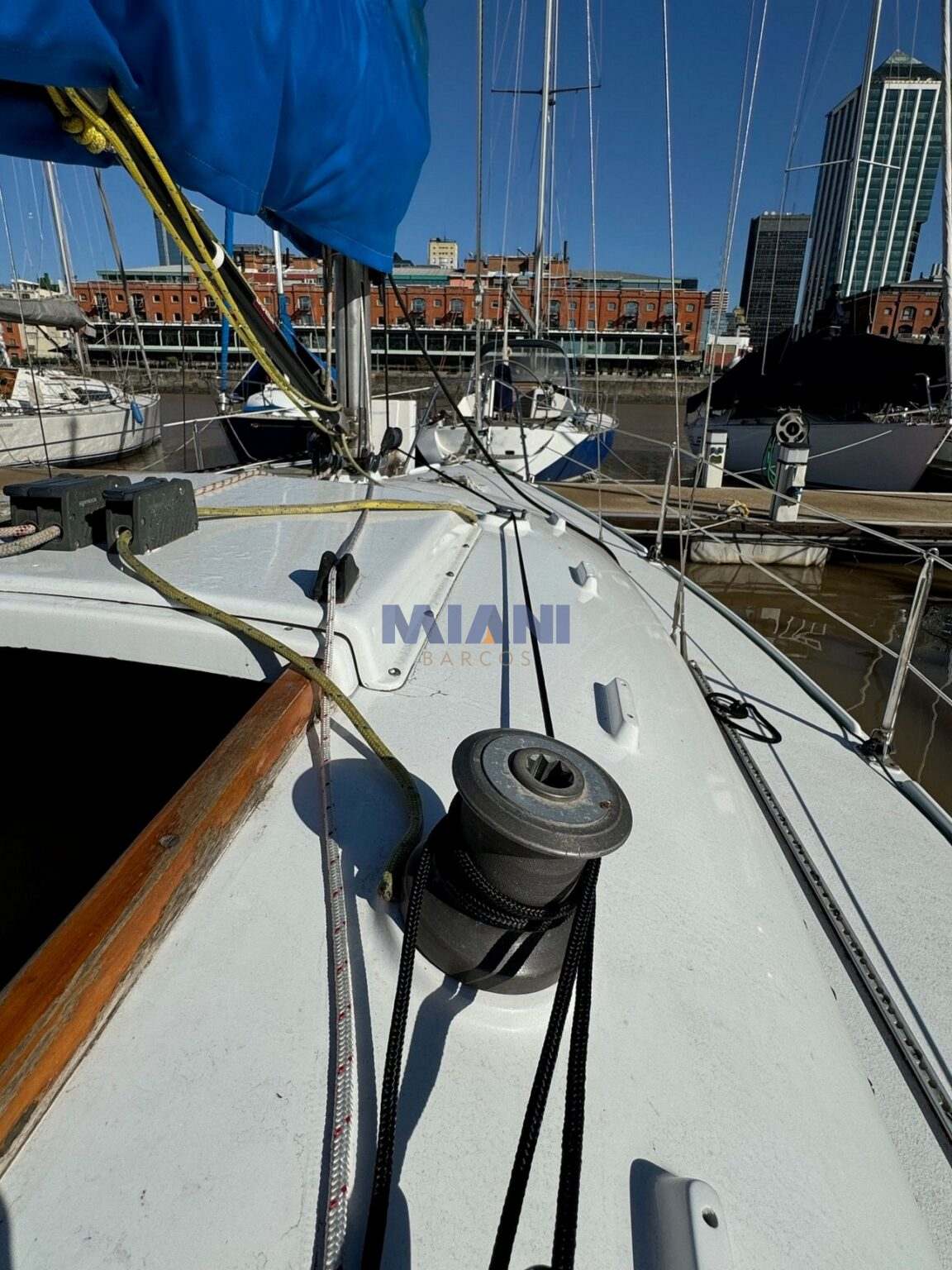 Velero Pandora 23 - Miani Barcos